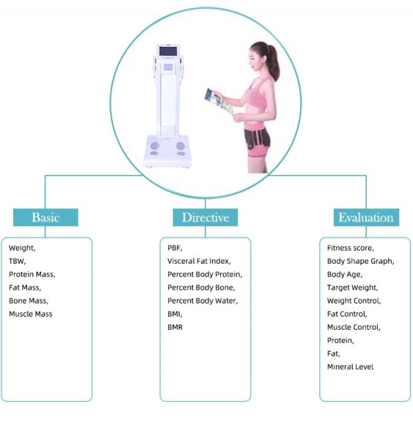 Body Composition Analyser | BMI Full Body Testing Body Fat Analyzer ...