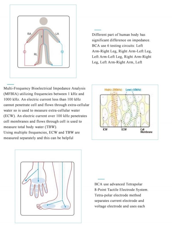 Body Composition Analyser | BMI Full Body Testing Body Fat Analyzer ...